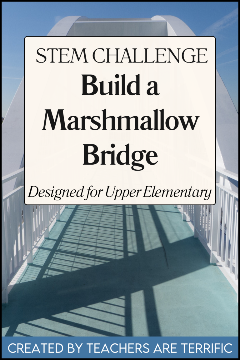 The Mushy Marshmallow Bridge Challenge is Amazing! - Teachers are Terrific
